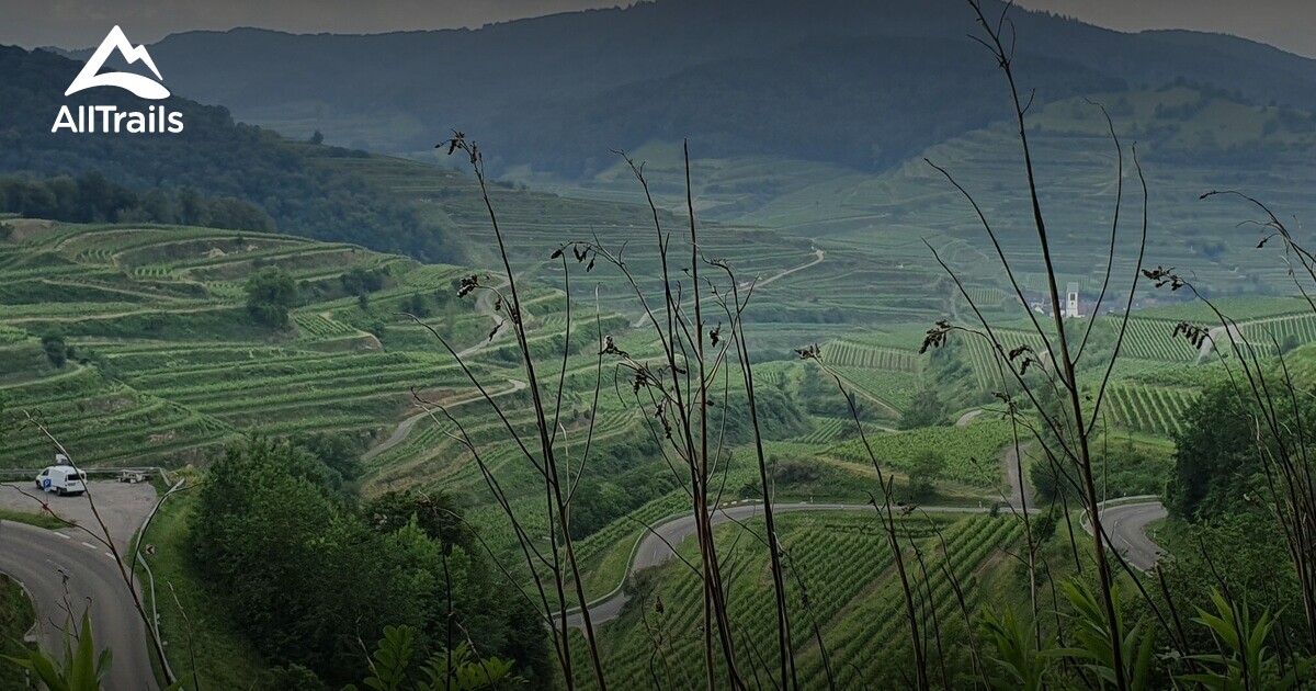 2023 Best Wild Flowers Trails in Bahlingen | AllTrails