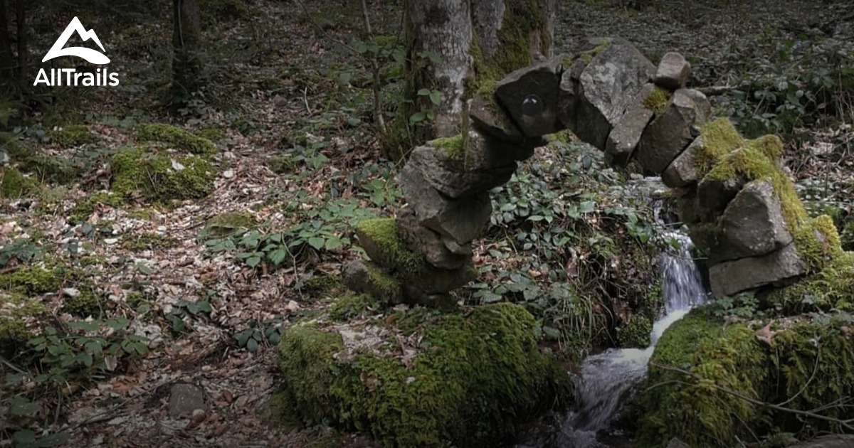 Best moderate trails in Bollschweil | AllTrails