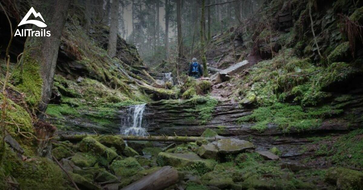 Calw: Die 10 schönsten Routen zum Wandern | AllTrails