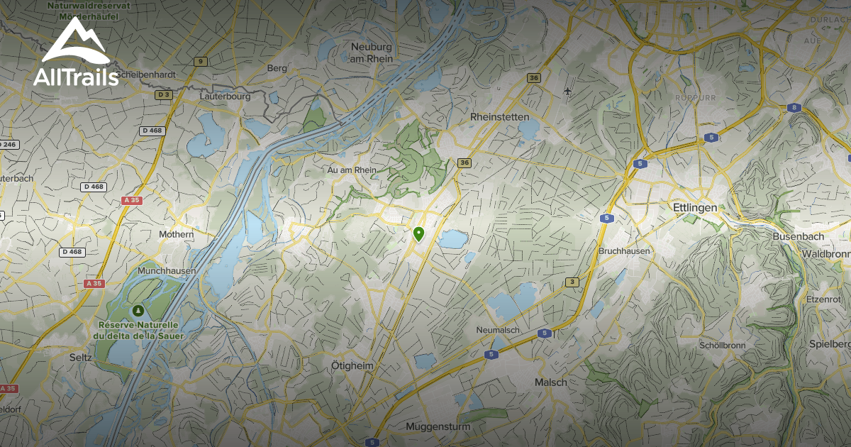 Best hikes and trails in Durmersheim | AllTrails