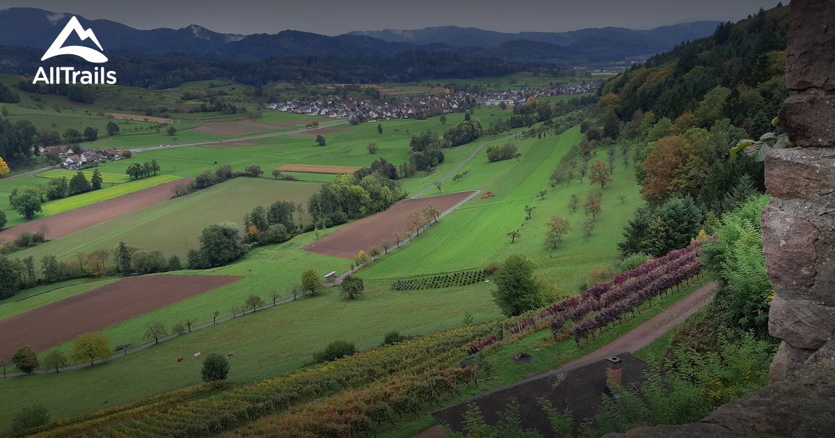 De beste stiene med villblomster i Emmendingen | AllTrails