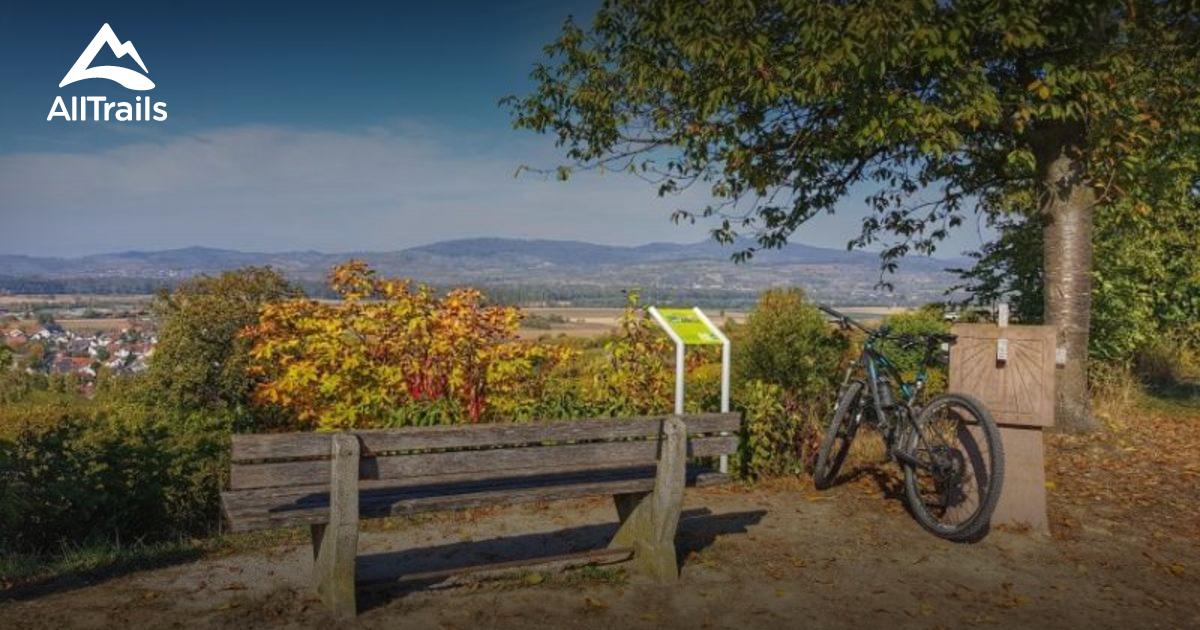 Best hikes and trails in Gottenheim | AllTrails