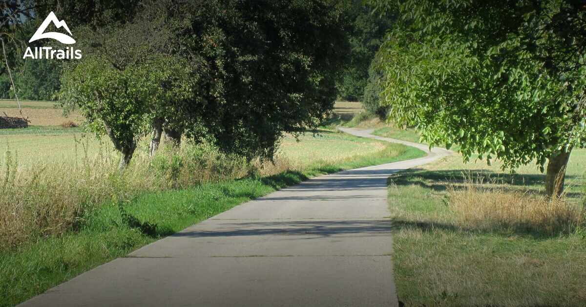 I migliori sentieri nei boschi in Helmstadt-Bargen | AllTrails