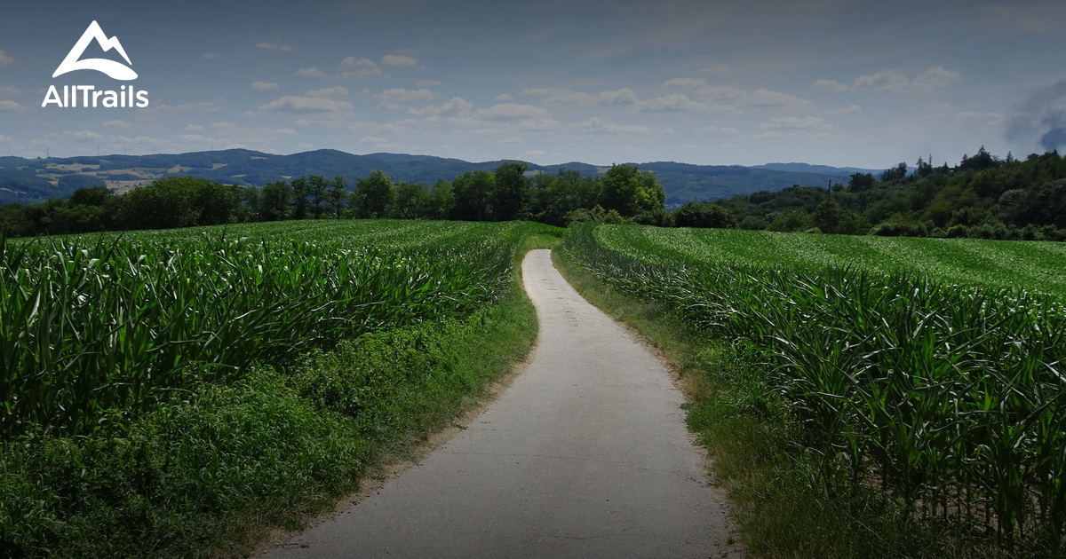 Hemsbach: Die schönsten Routen zum Wandern | AllTrails