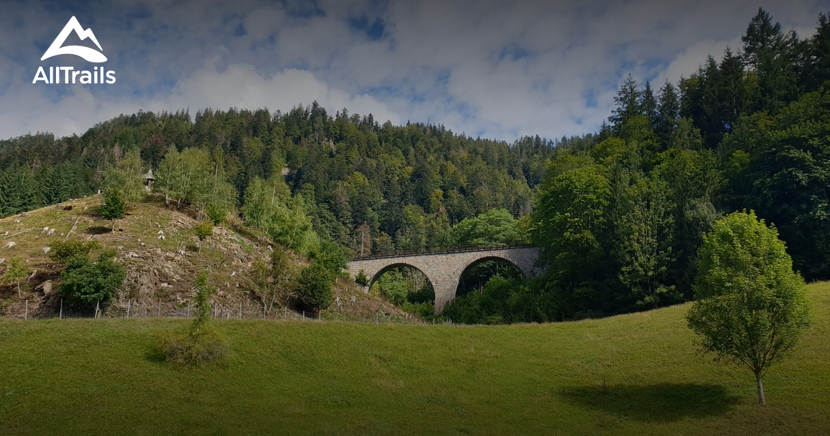 Hinterzarten: Die 10 schönsten Routen zum Wandern | AllTrails