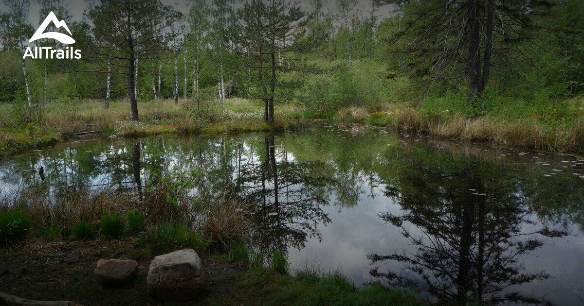 Best hikes and trails in Holzgerlingen | AllTrails