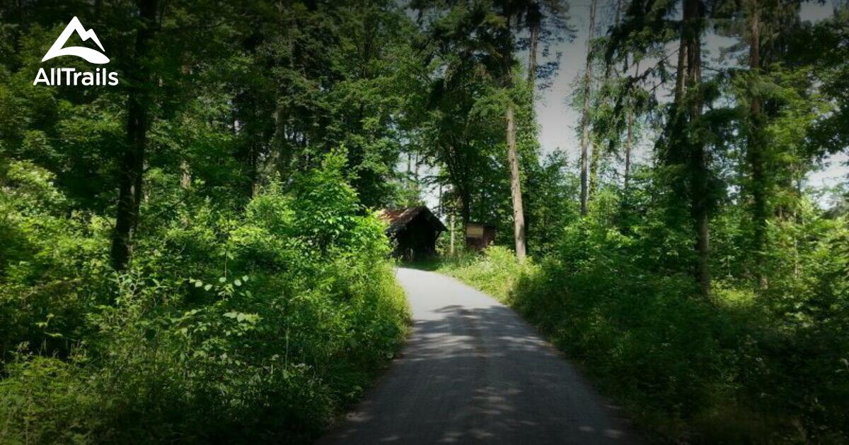 Ilsfeld: Die schönsten Routen zum Wandern | AllTrails