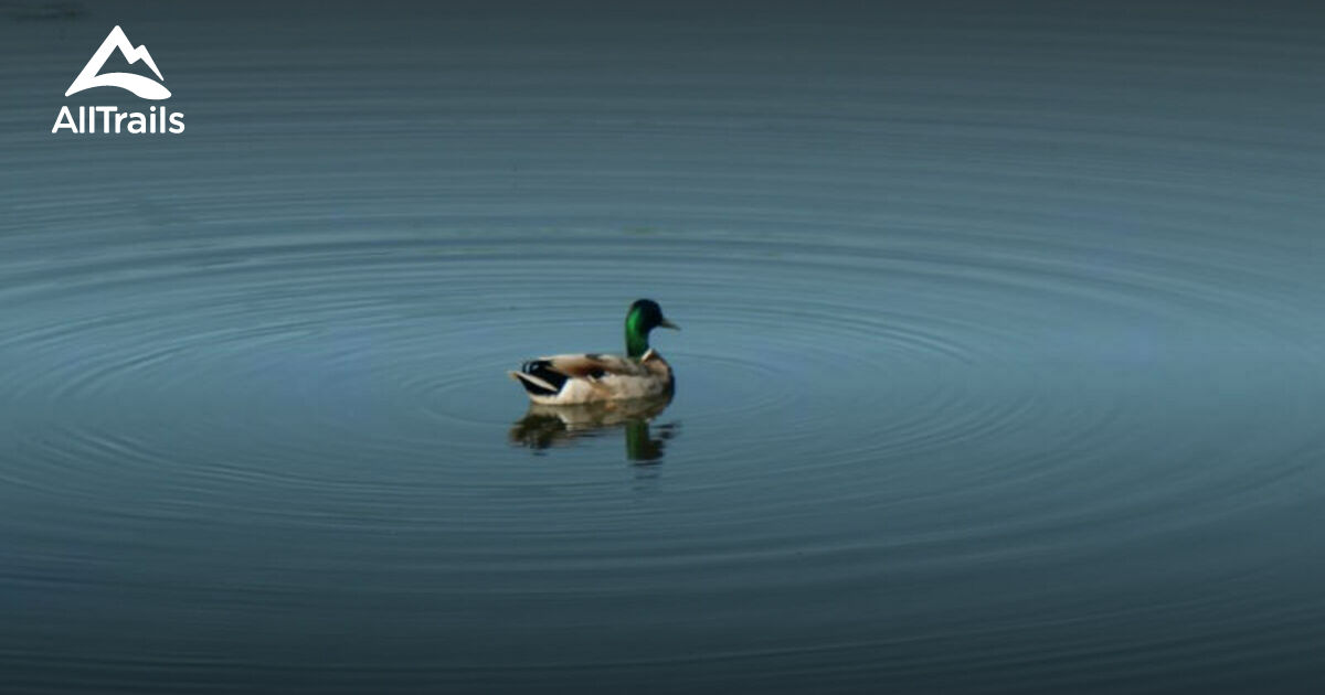 2023 Best Camping Trails in Ispringen | AllTrails