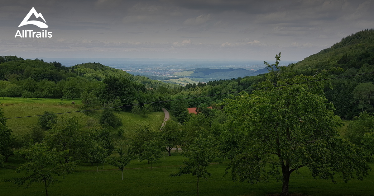Best hikes and trails in Kappelrodeck | AllTrails