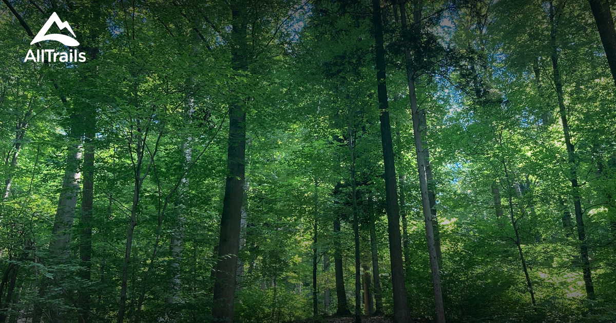 2023 Best Historic Site Trails in Kernen im Remstal | AllTrails