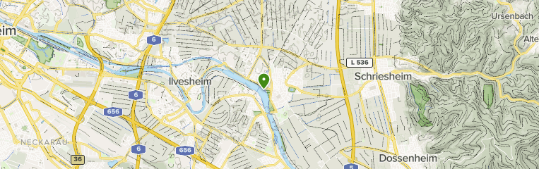 2023 Best trails in Ladenburg | AllTrails