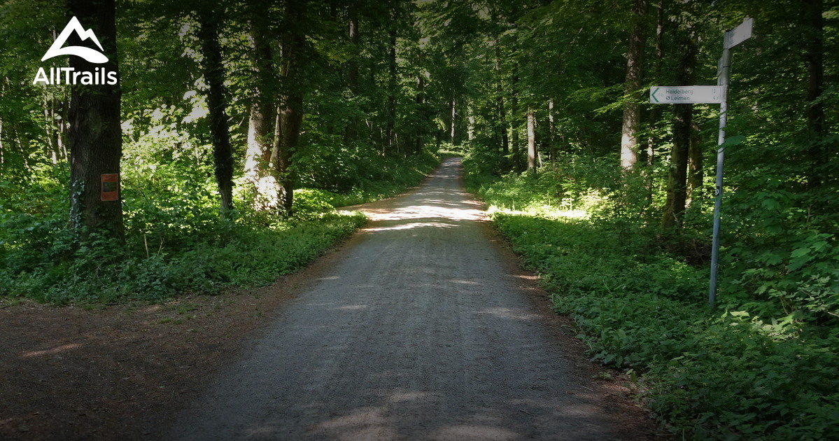 Leimen: Die schönsten Routen zum Wandern in 2023 | AllTrails