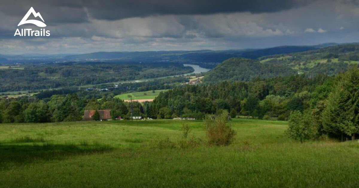 10 Best forest trails in Lörrach | AllTrails