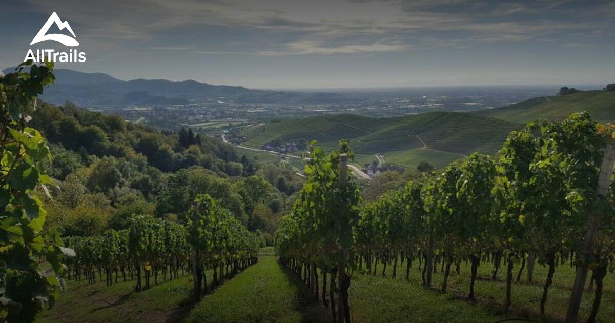 Oberkirch : les 10 meilleures randonnées et itinéraires | AllTrails
