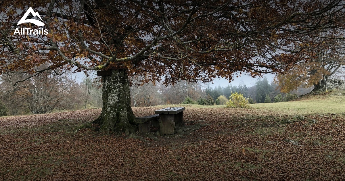 10 Best trails and hikes in Oberkochen | AllTrails