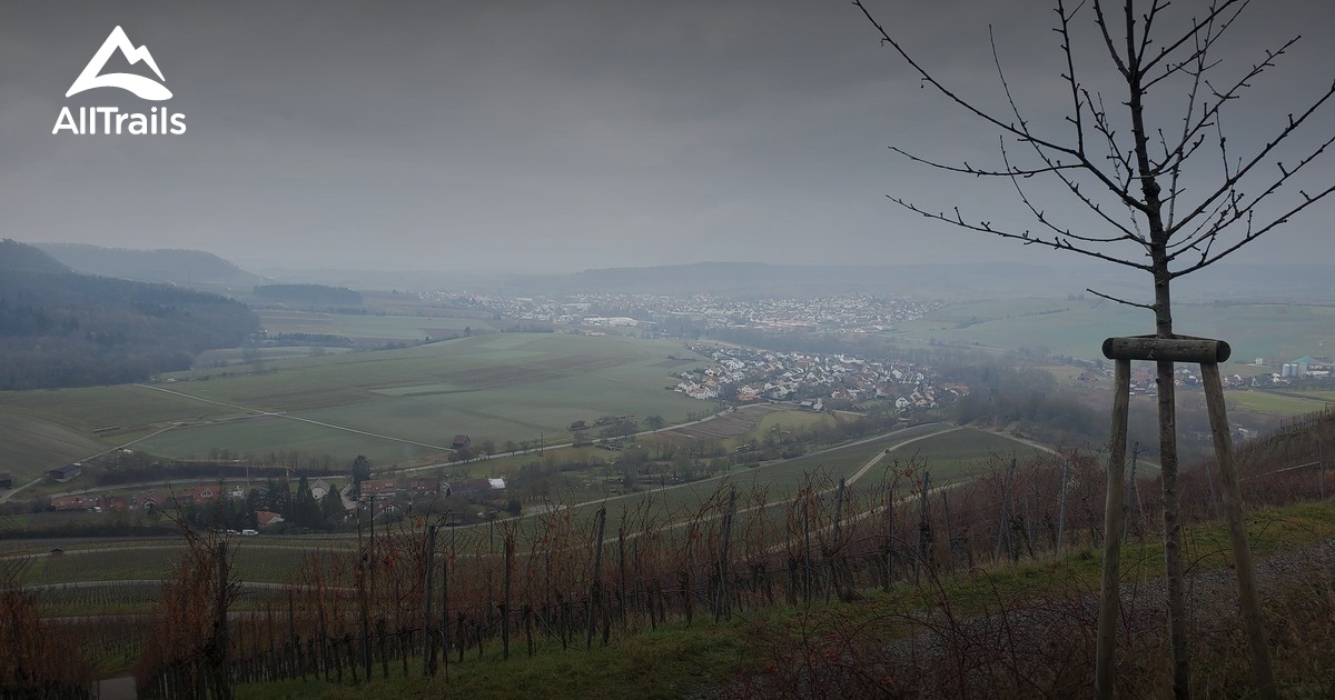 Best wildflower trails in Oberstenfeld | AllTrails