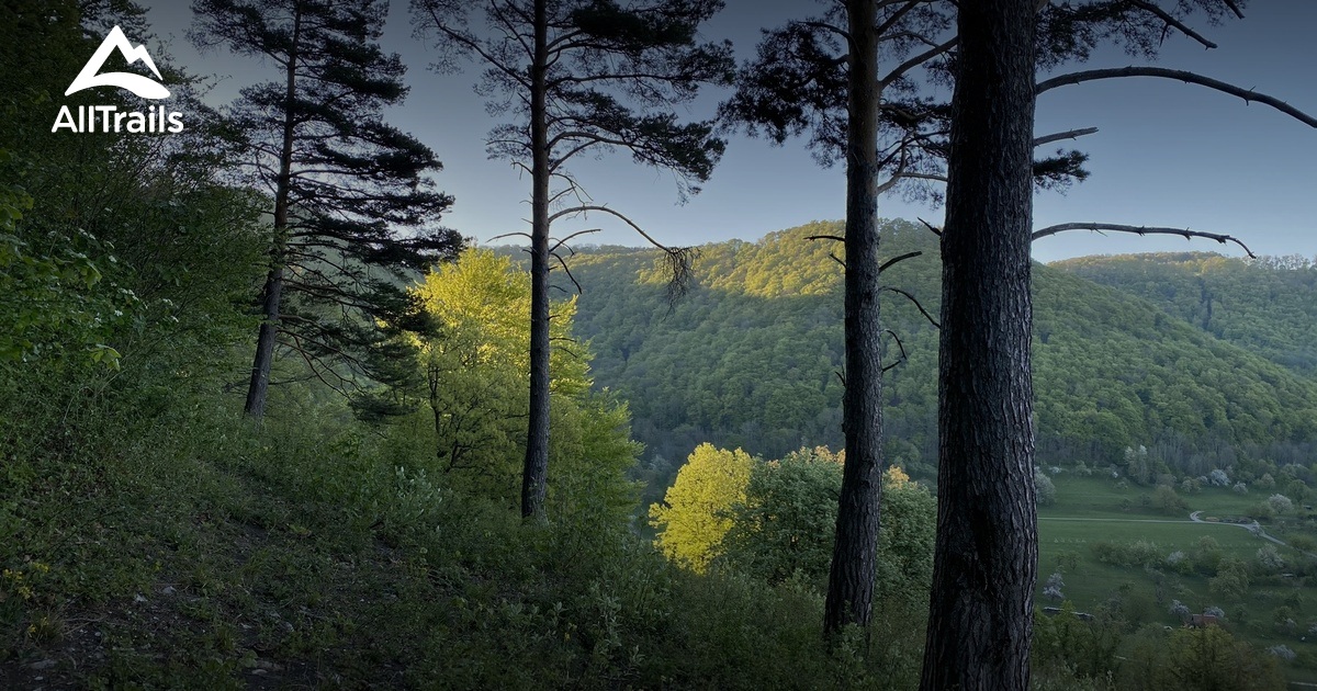 Best hikes and trails in Owen | AllTrails