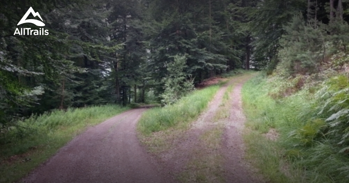 Best river trails in Seelbach | AllTrails