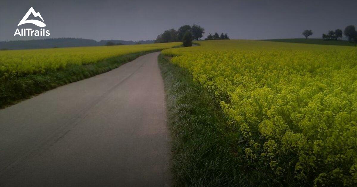 Best partially-paved trails in Stutensee | AllTrails