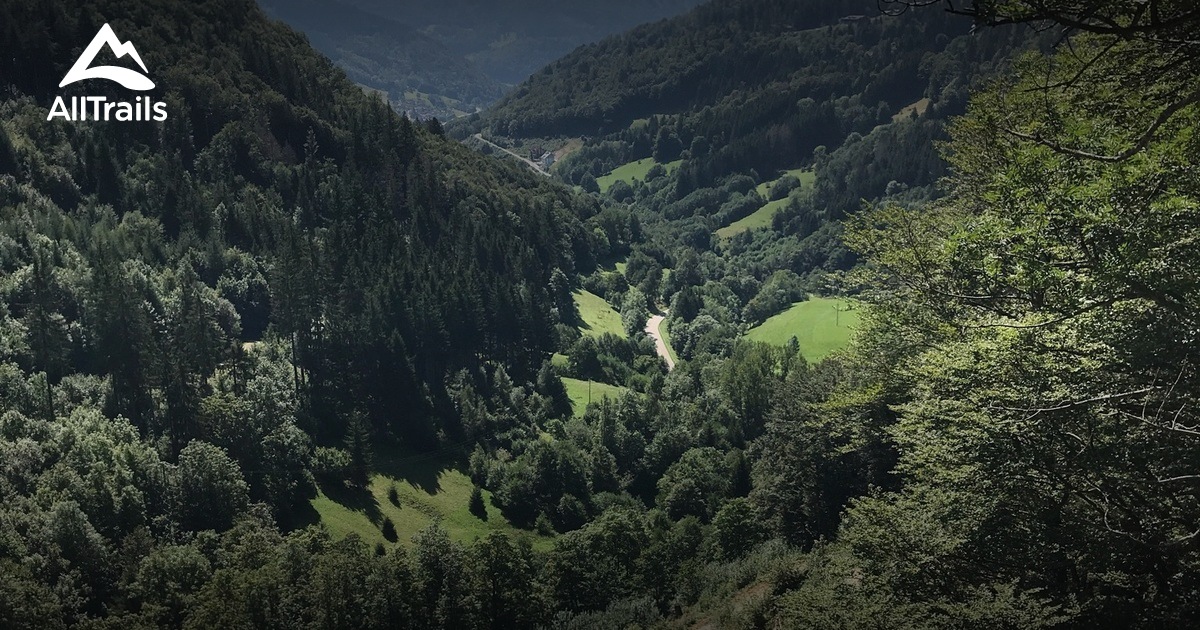 Todtnau : les 10 meilleures randonnées et itinéraires | AllTrails