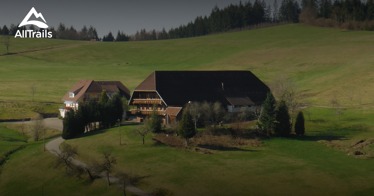 10 Best trails and hikes in Wolfach | AllTrails