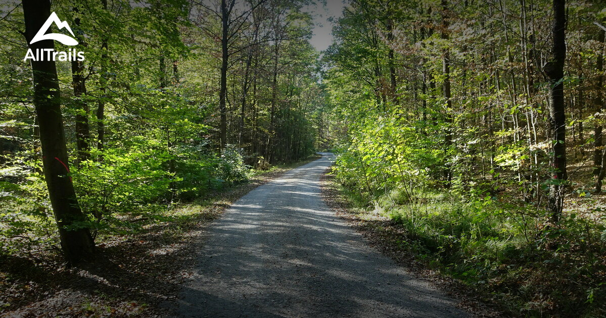 Best hikes and trails in Zaberfeld | AllTrails