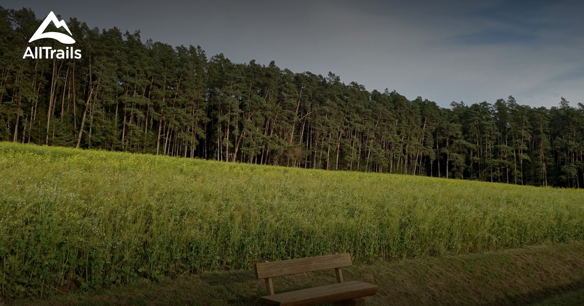 Best forest trails in Absberg | AllTrails