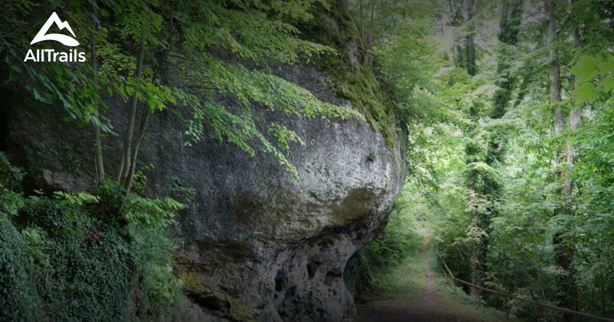 Best easy trails in Aufseß | AllTrails