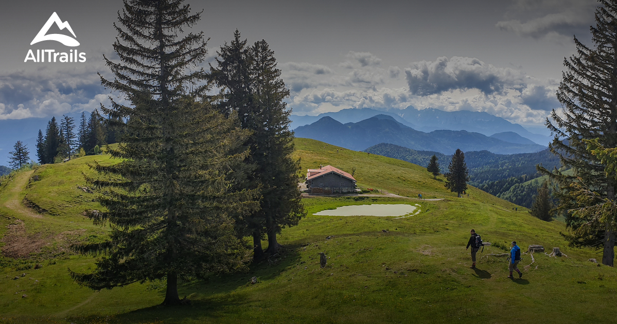 Die Besten Flusswege in Bad Aibling | AllTrails