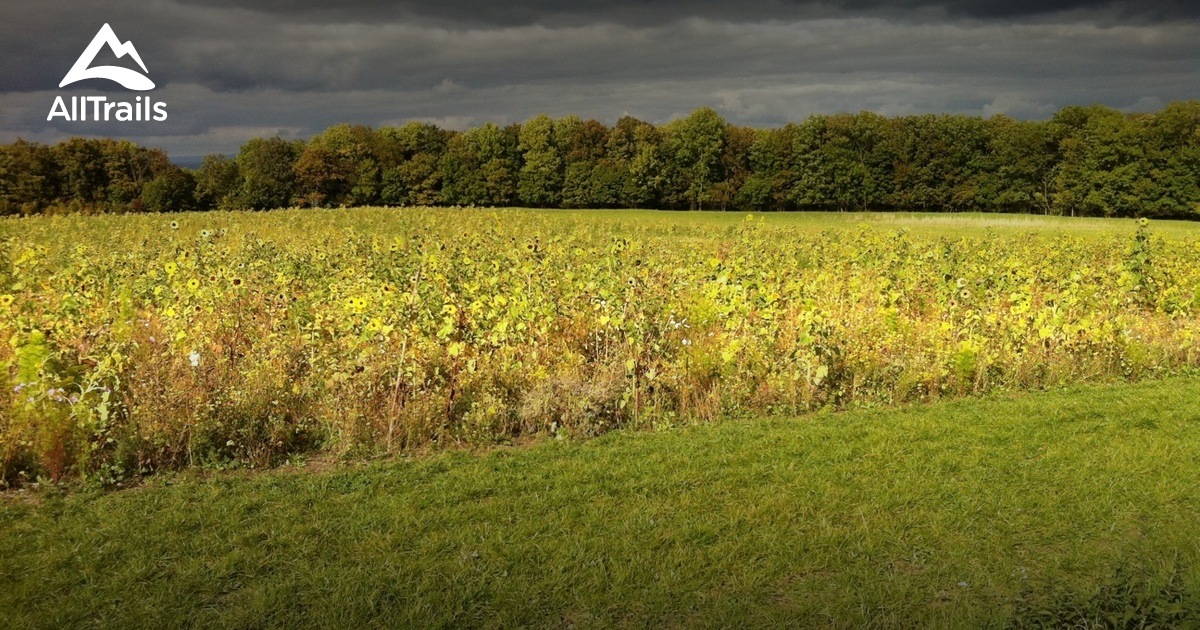 10 Best Trails, Walks, and Paths in Bad Staffelstein | AllTrails