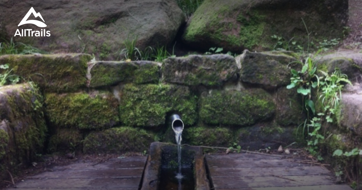 Best hikes and trails in Büchenbach | AllTrails