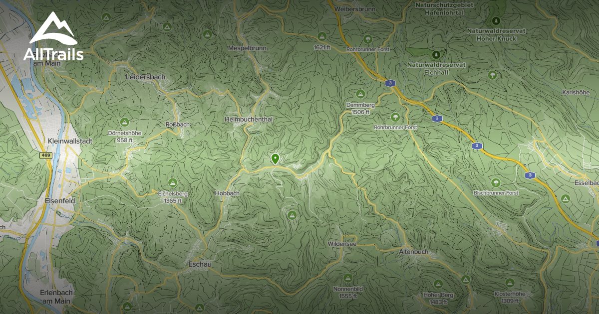 I migliori sentieri facili in Dammbach | AllTrails