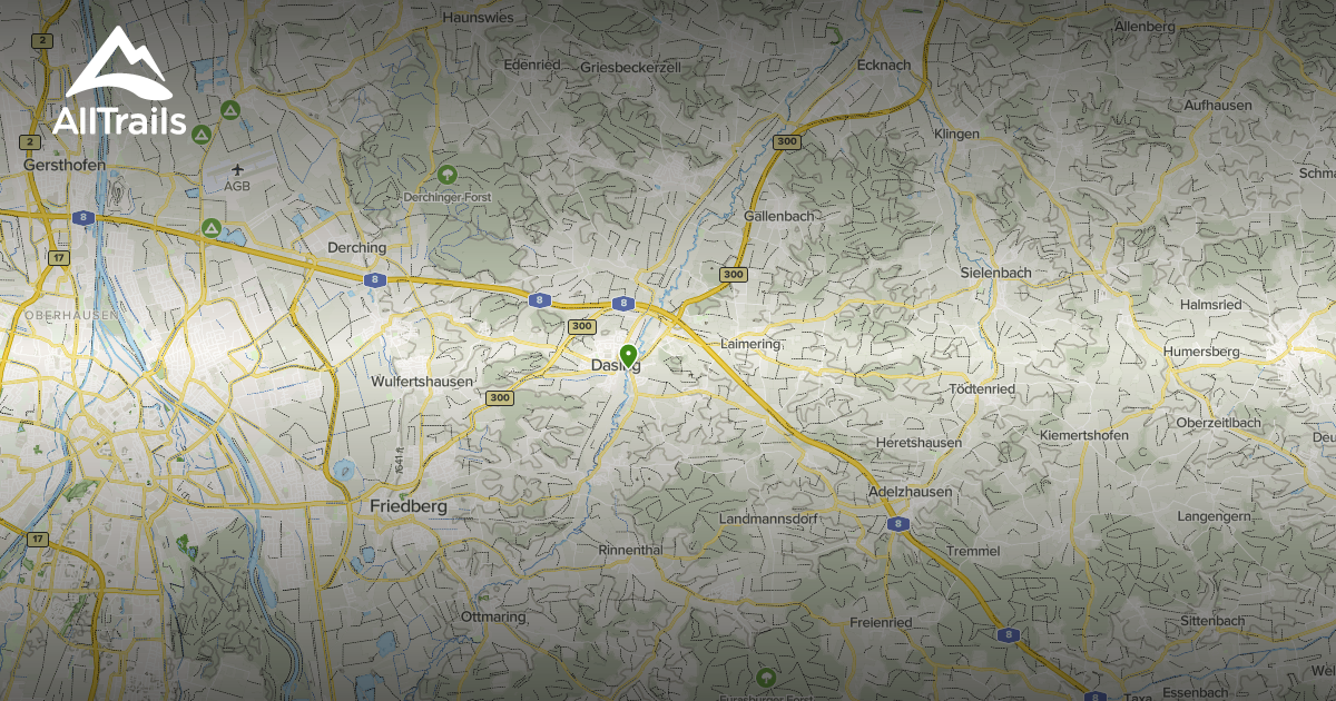 Best forest trails in Dasing | AllTrails