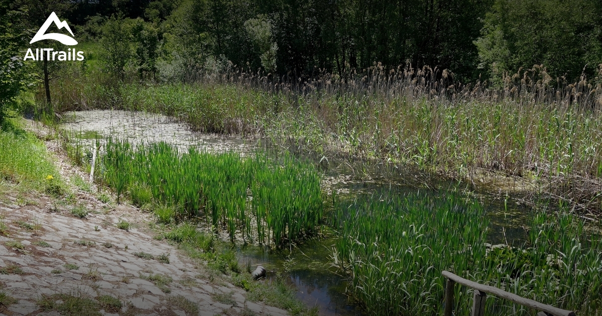 2023 Best Historic Site Trails in Deining | AllTrails