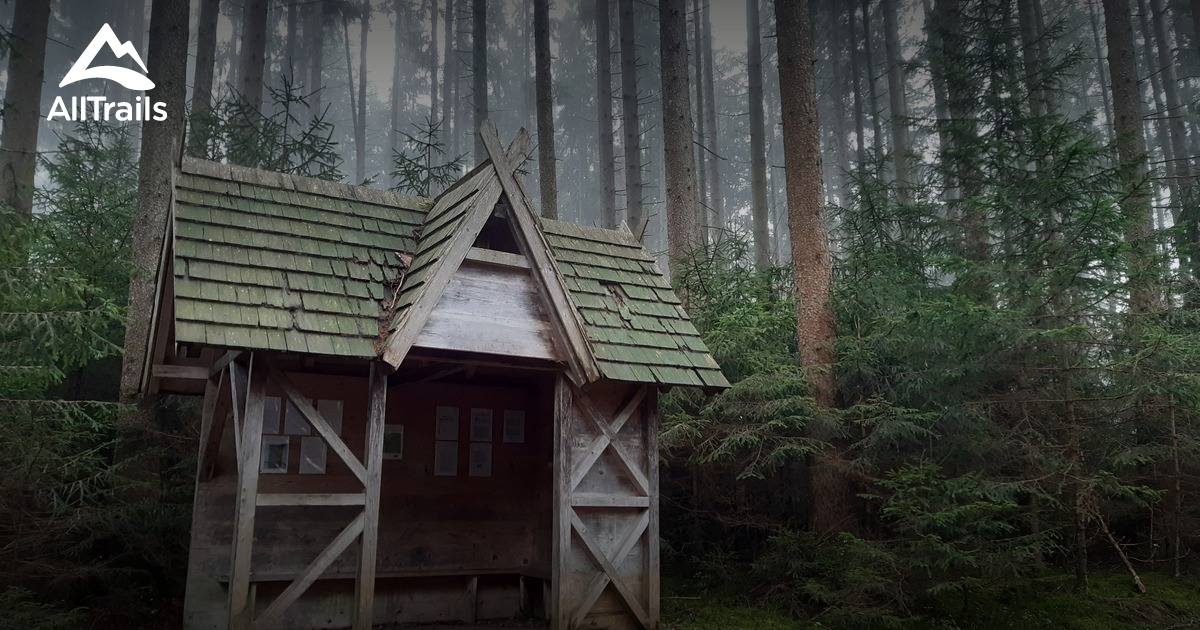 Best hikes and trails in Denklingen | AllTrails