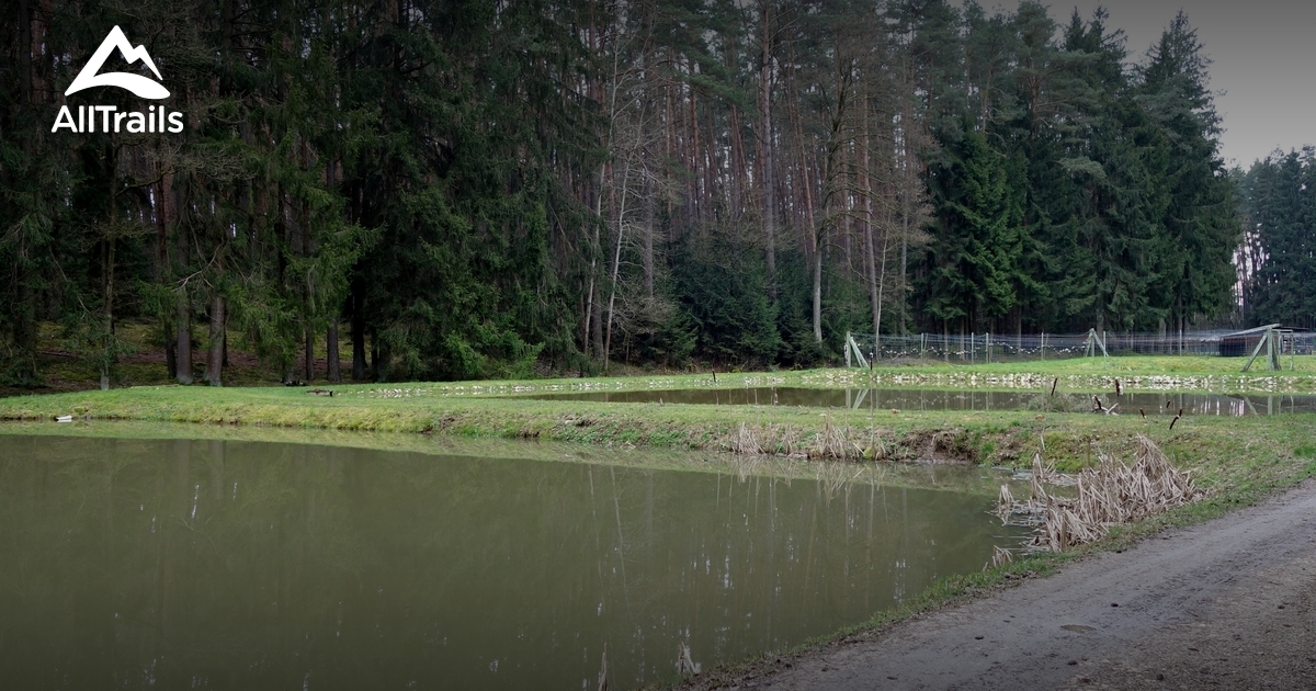 Best Hikes and Trails in Dormitzer Forst | AllTrails