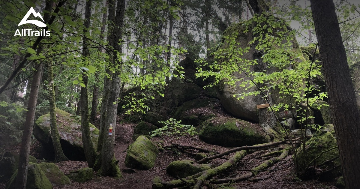 Best hikes and trails in Floß | AllTrails