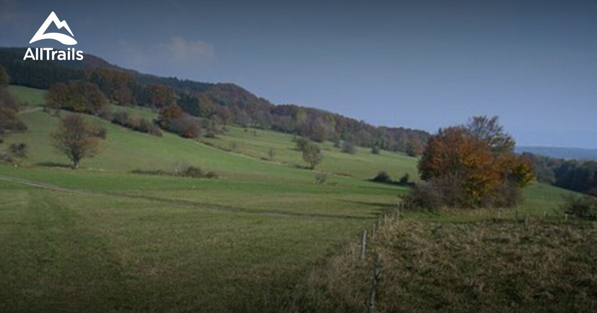 Best forest trails in Geroda | AllTrails