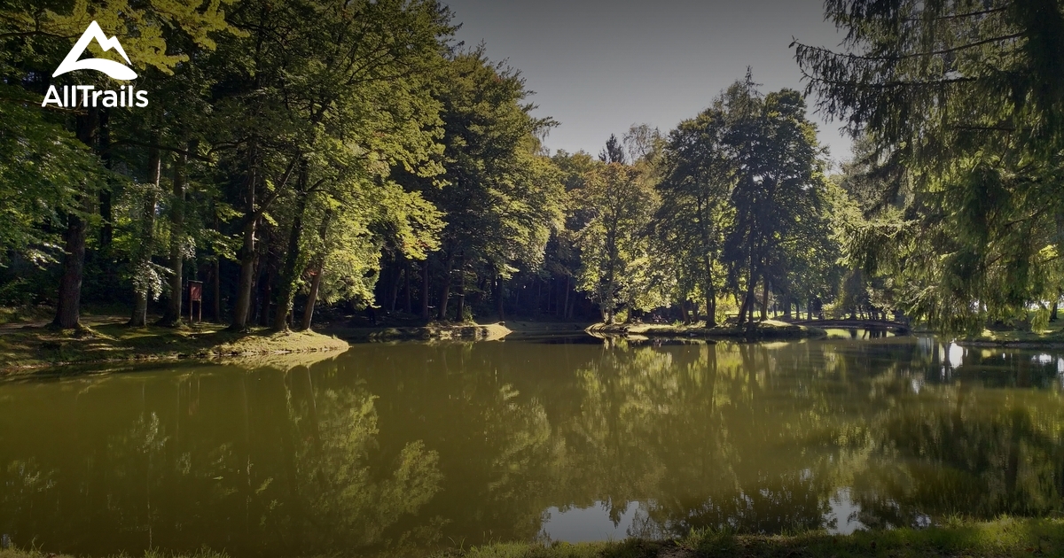 10 Best trails and hikes in Glonn | AllTrails