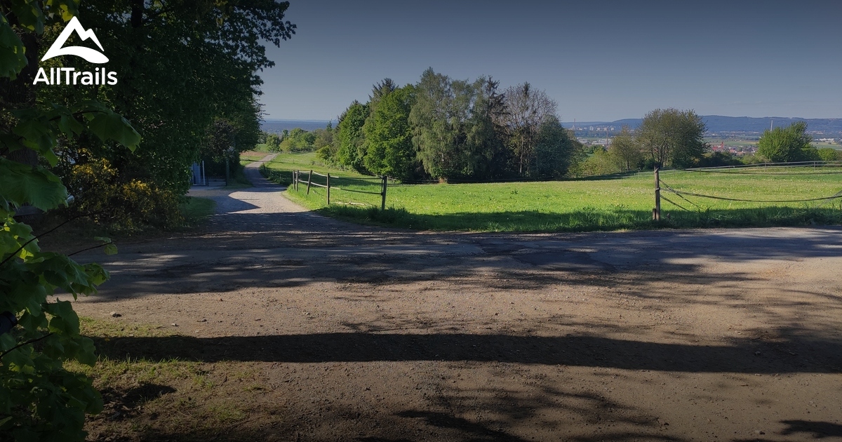 Best Hikes and Trails in Großwallstadt | AllTrails