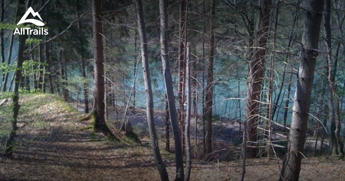 Best hikes and trails in Grünwald | AllTrails