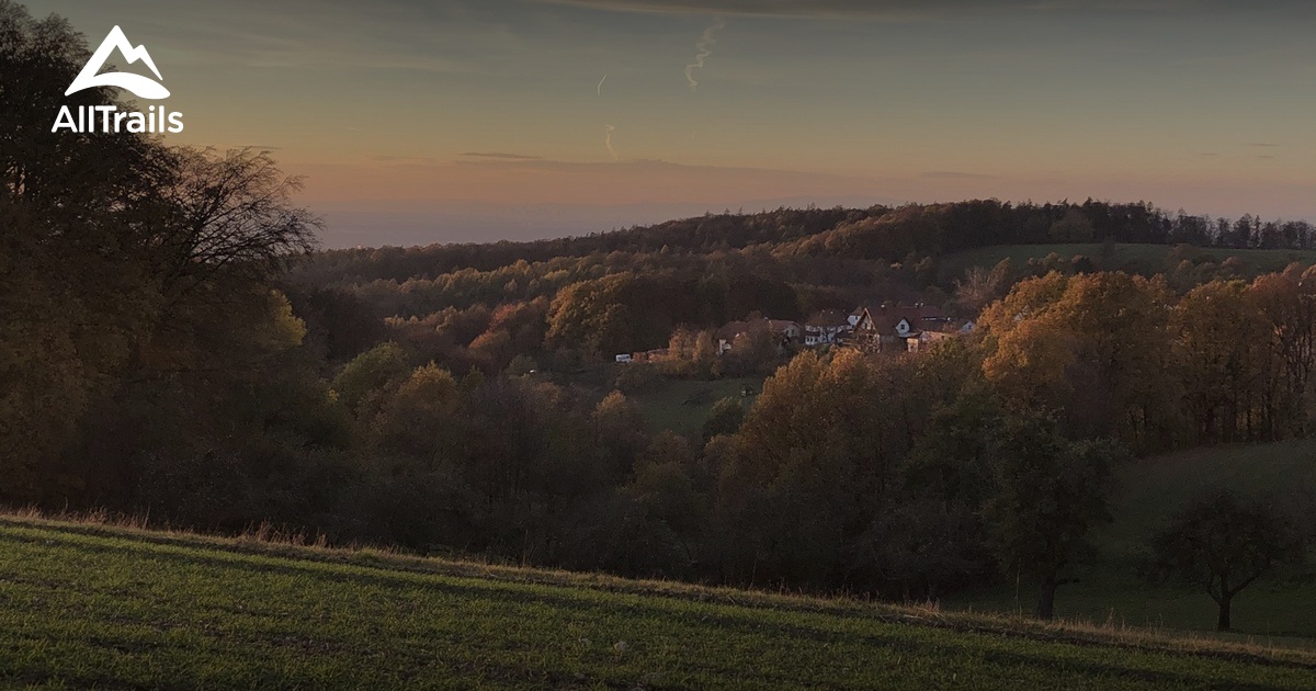 Best hikes and trails in Kleinostheim | AllTrails