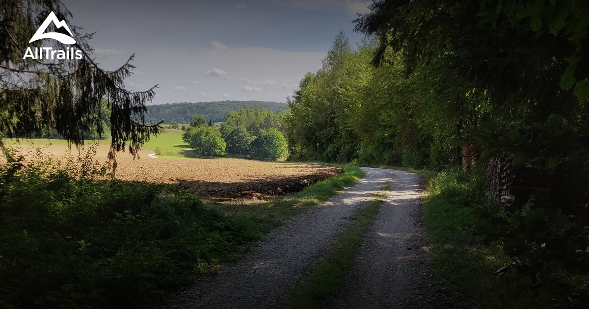 Best wildflower trails in Kösching | AllTrails