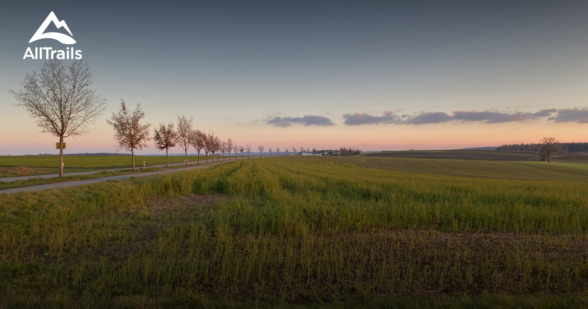 2023 Best Forest Trails in Lappersdorf | AllTrails