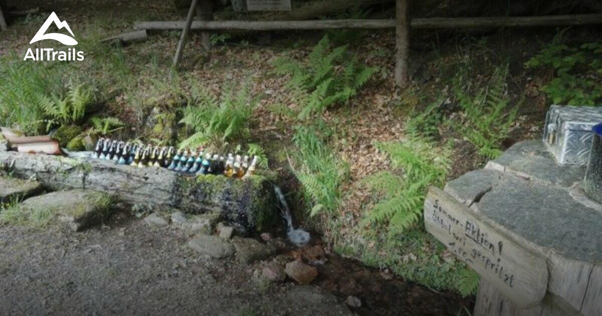 I migliori sentieri nei boschi in Laudenbach | AllTrails