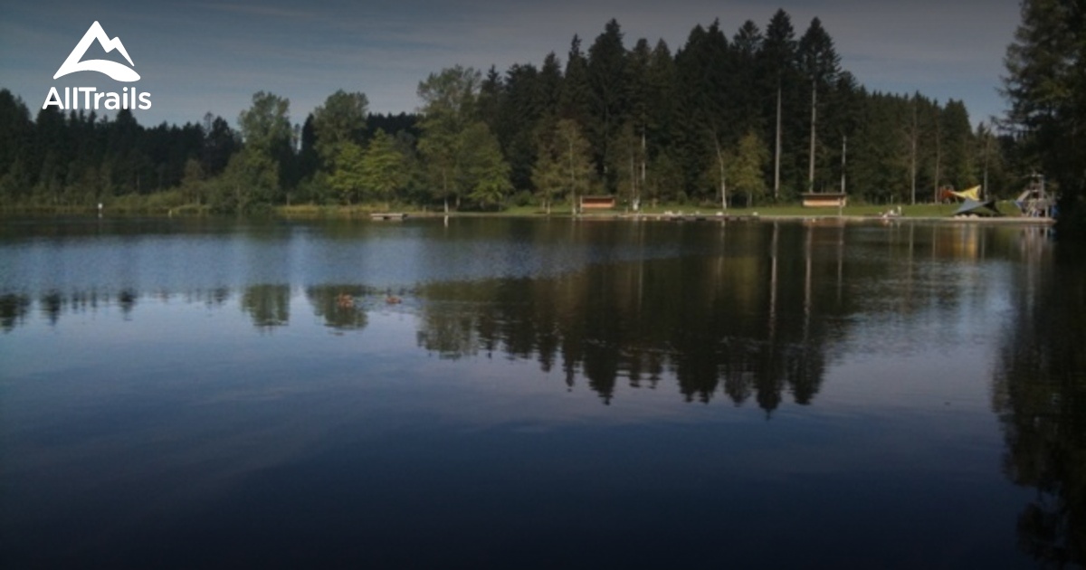 Best forest trails in Lindenberg im Allgäu | AllTrails