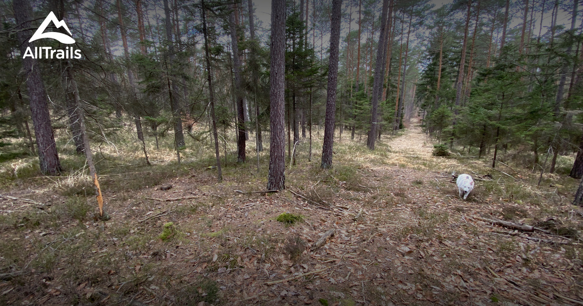 Best beach trails in Lisberg | AllTrails