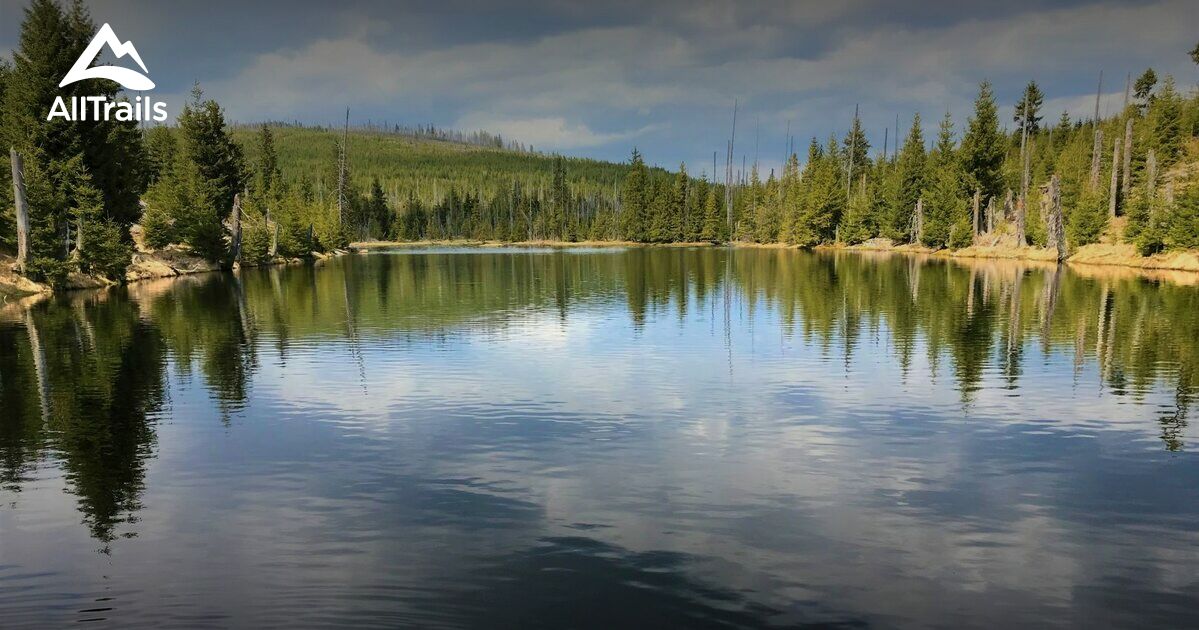 Best hikes and trails in Mauther Forst | AllTrails