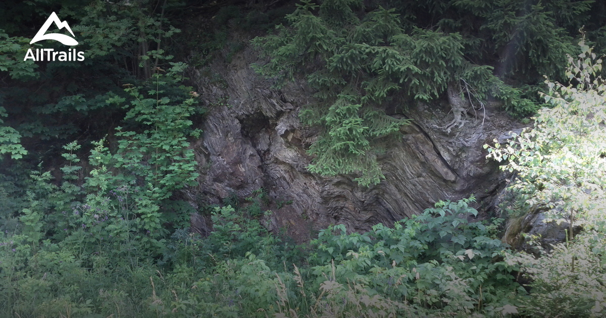 Best river trails in Naila | AllTrails