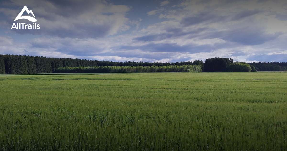 Neuried: Die schönsten Routen zum Wandern | AllTrails